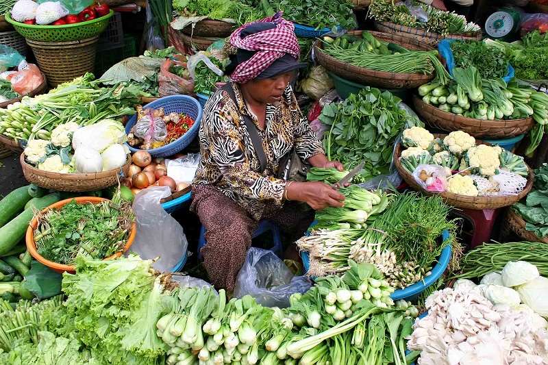 Prioritizing Vegetable Production Will Boost Food Security In Ghana AHEFS