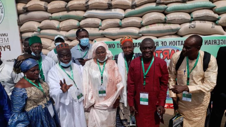 Rice pyramid | Citinewsroom - Comprehensive News in Ghana