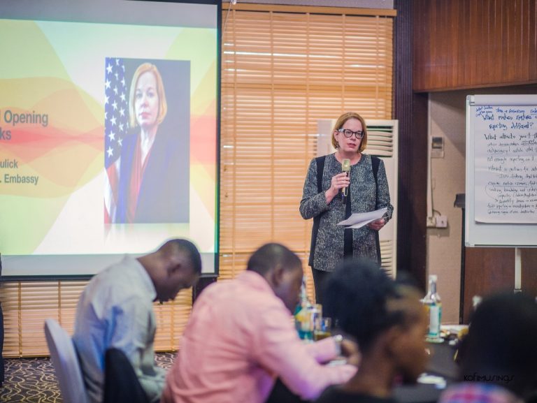 DCM at the US Embassy, Nicole Chulick (2) | Citinewsroom ...