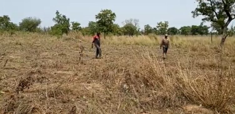 Pwalugu Multipurpose dam project (1) | Citinewsroom - Comprehensive ...