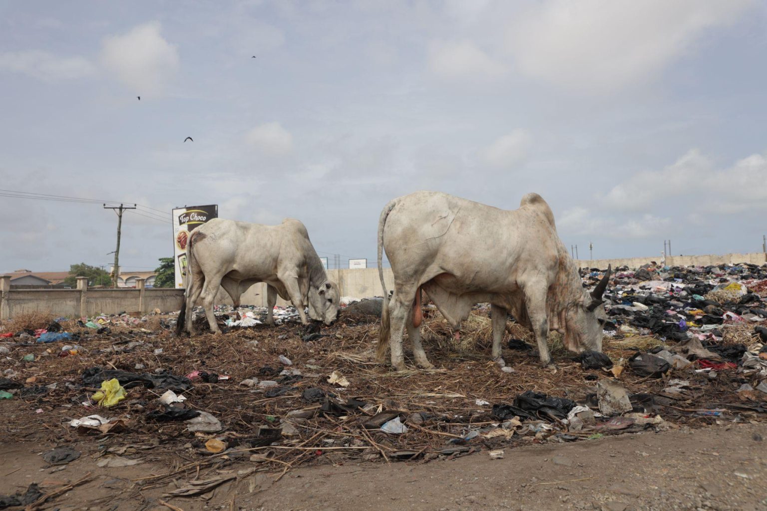 Ghana’s e-waste recycling shines as success story in one of Africa’s ...