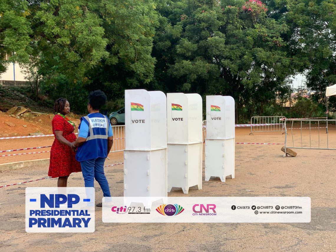 npp presidential primary (3) – Citinewsroom – Comprehensive News in Ghana
