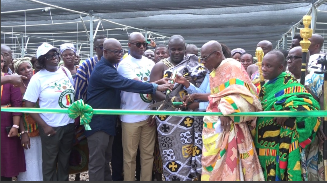 Forestry Commission partners Rainforest Builder to restore degraded ...